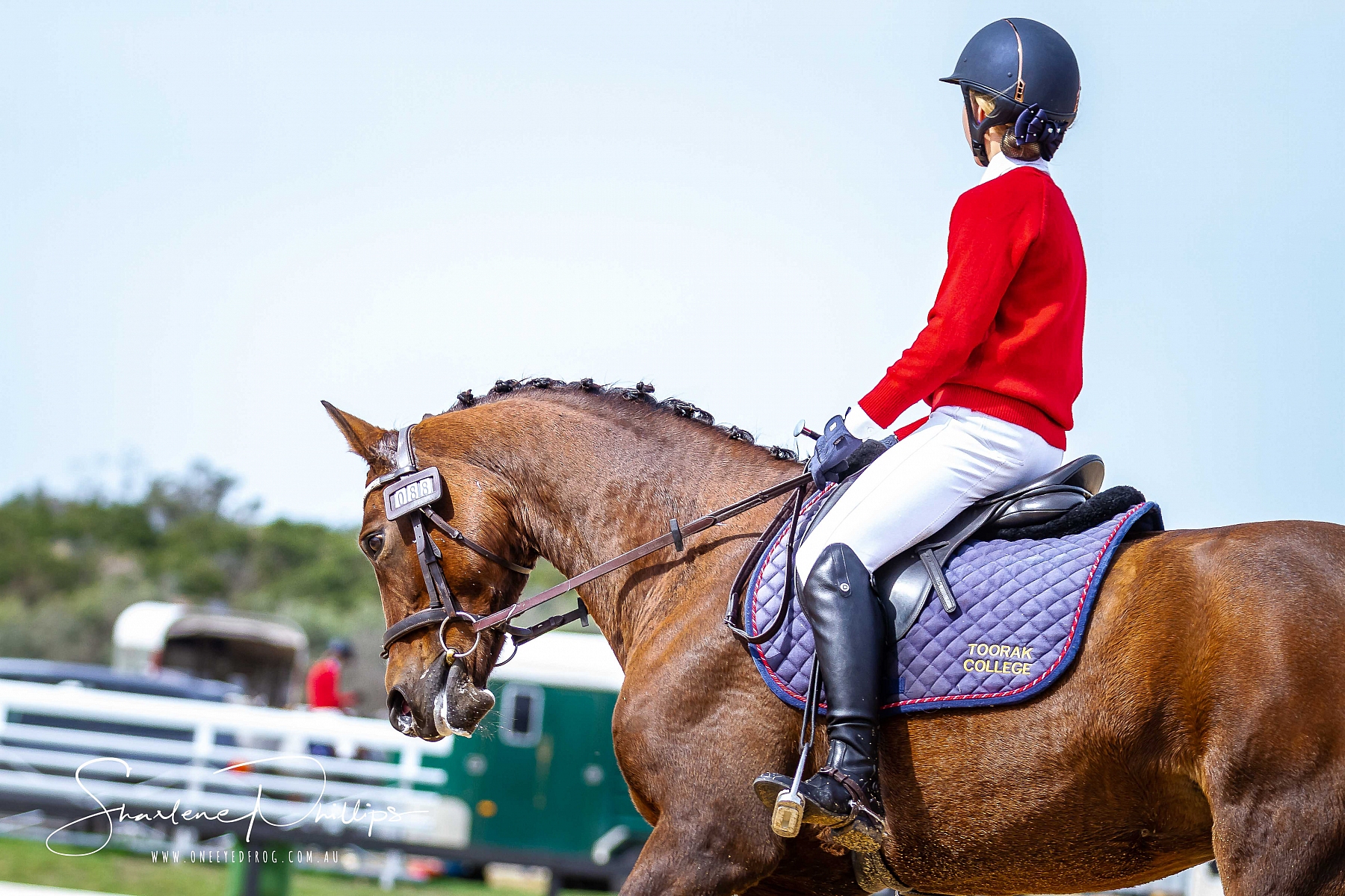 2019 Round 1 CT DAY (DRESSAGE ONLY FRONT RING) - Equestrian Event ...