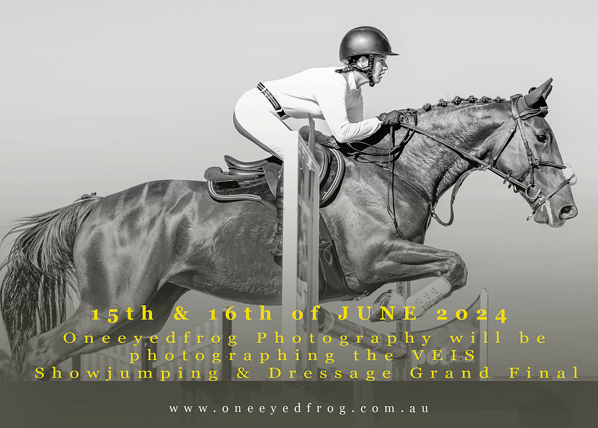 2024 VEIS Show Jumping & Dressage Grand Final - Equestrian Event ...