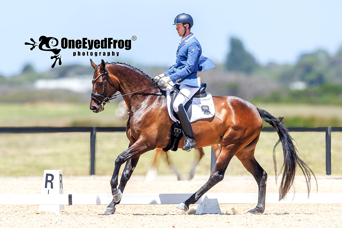 2025 Homes and Acreage Boneo Park Summer Dressage Championships ...