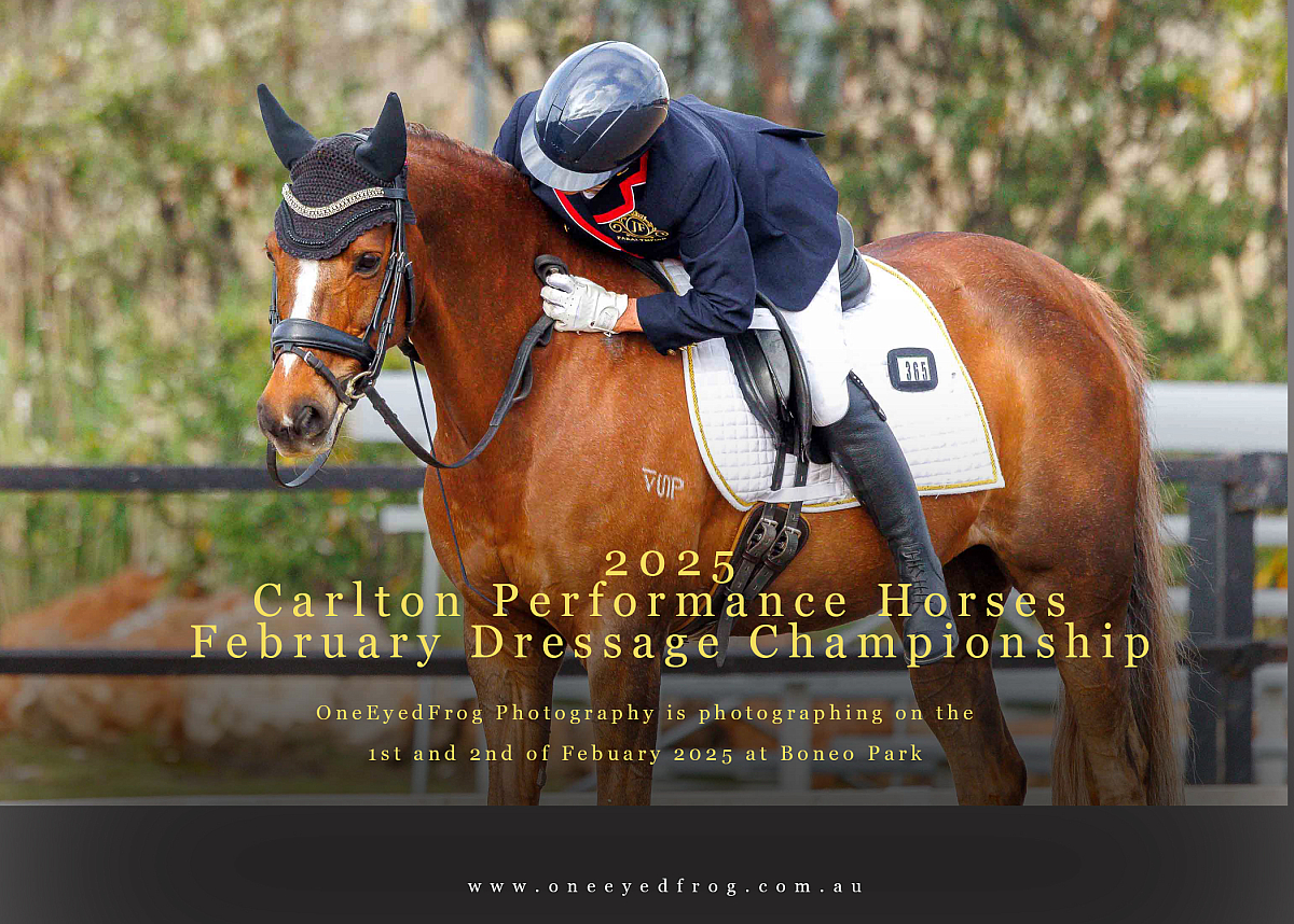 2025 Carlton Performance Horses FEB Championships - Equestrian Event ...