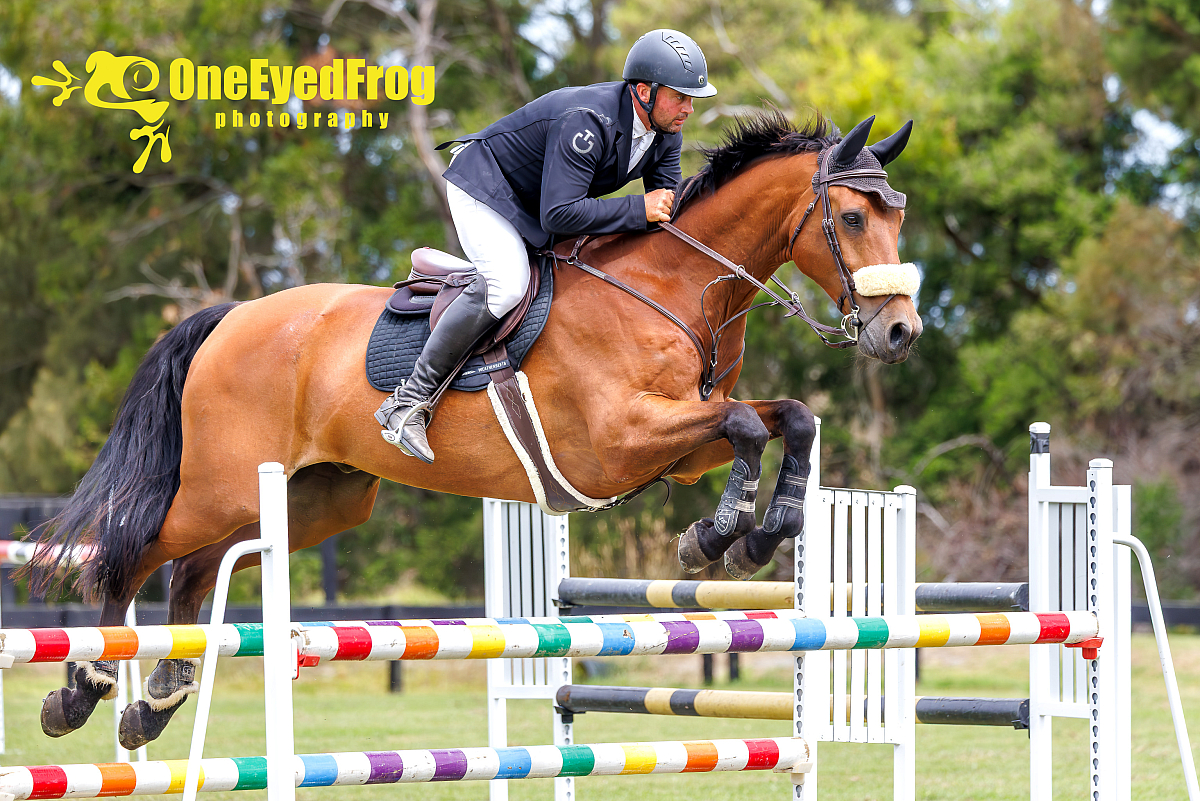 2025 Port Phillip Autumn Show SUNDAY - Equestrian Event Photography Galleries - Equestrian Event ...