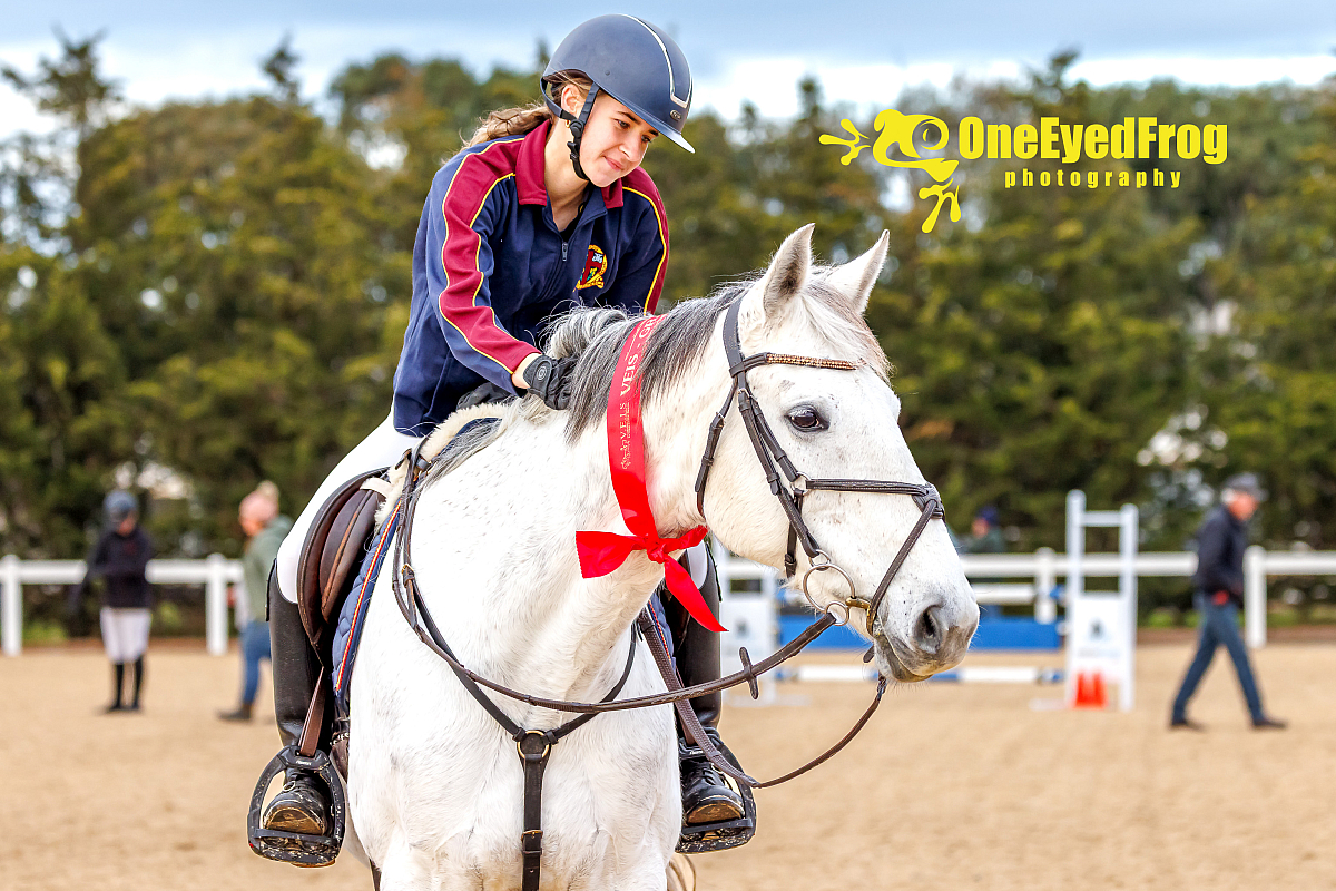 2025 VEIS Show Jumping & Dressage Grand Final - Equestrian Event ...