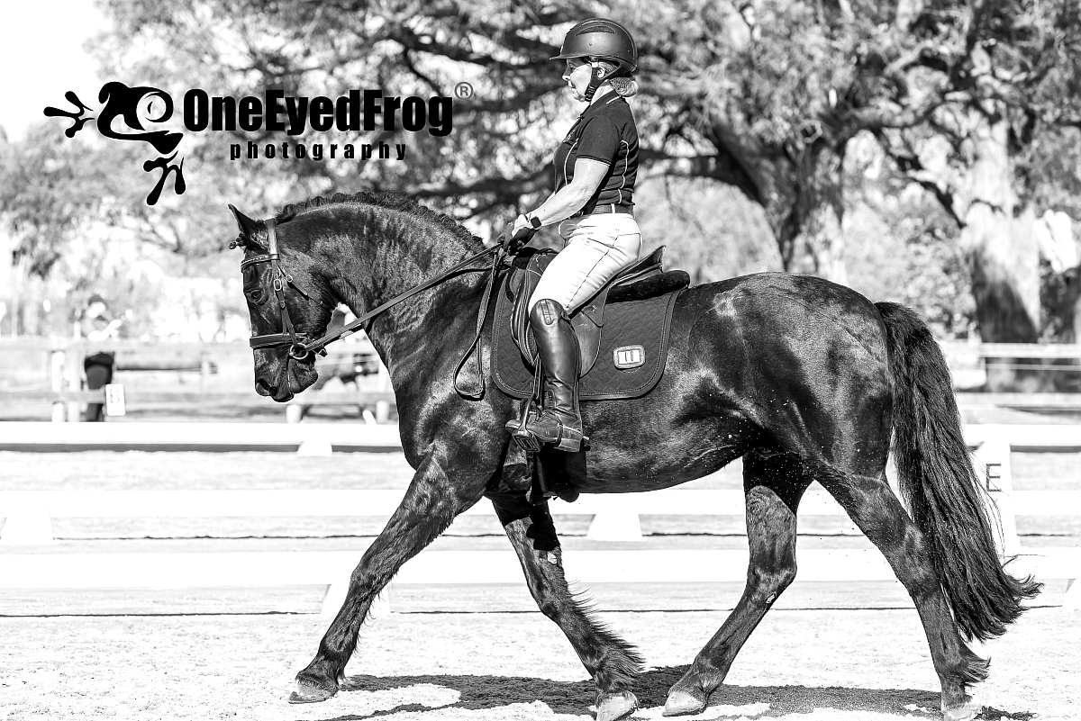 2025 Bunyip EC DRESSAGE JACKPOT WEEKEND - Equestrian Event Photography ...