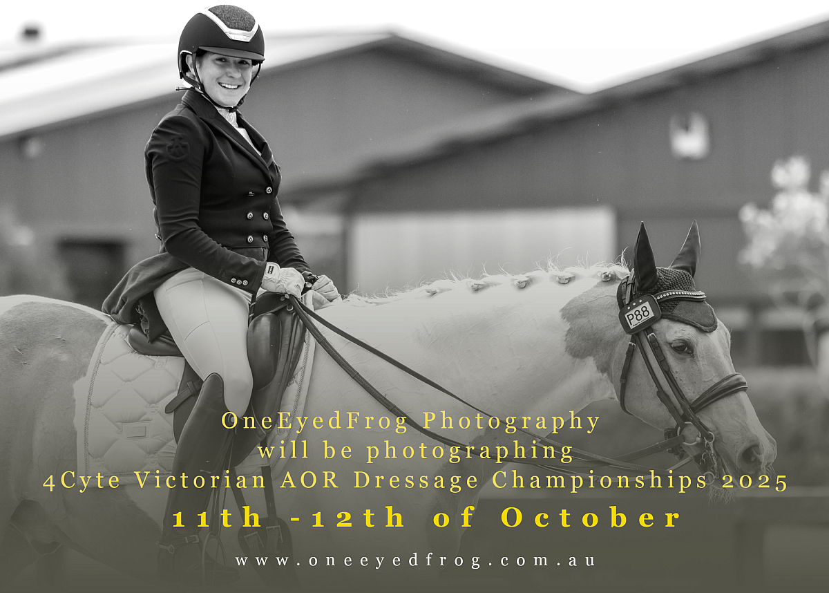 2025 Amateur Owner Rider State Championships - Equestrian Event ...