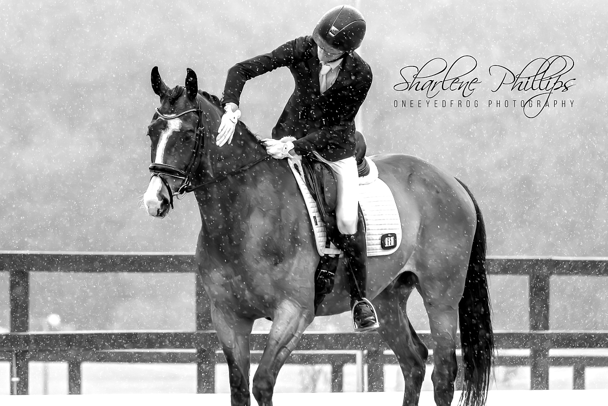 2025 Horse in the Box Yarra Valley Dressage Club Dressage Competition ...