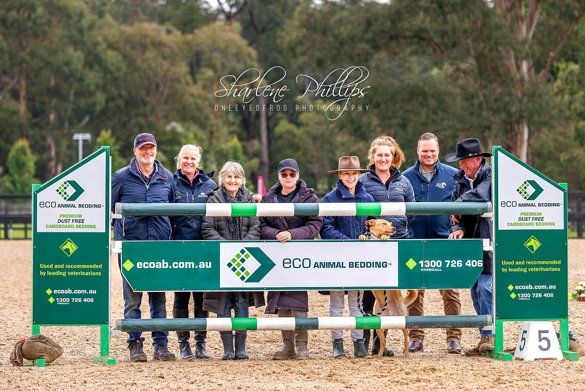 2025 Shirley Heights Equestrian Centre Show jumping - Equestrian Event ...