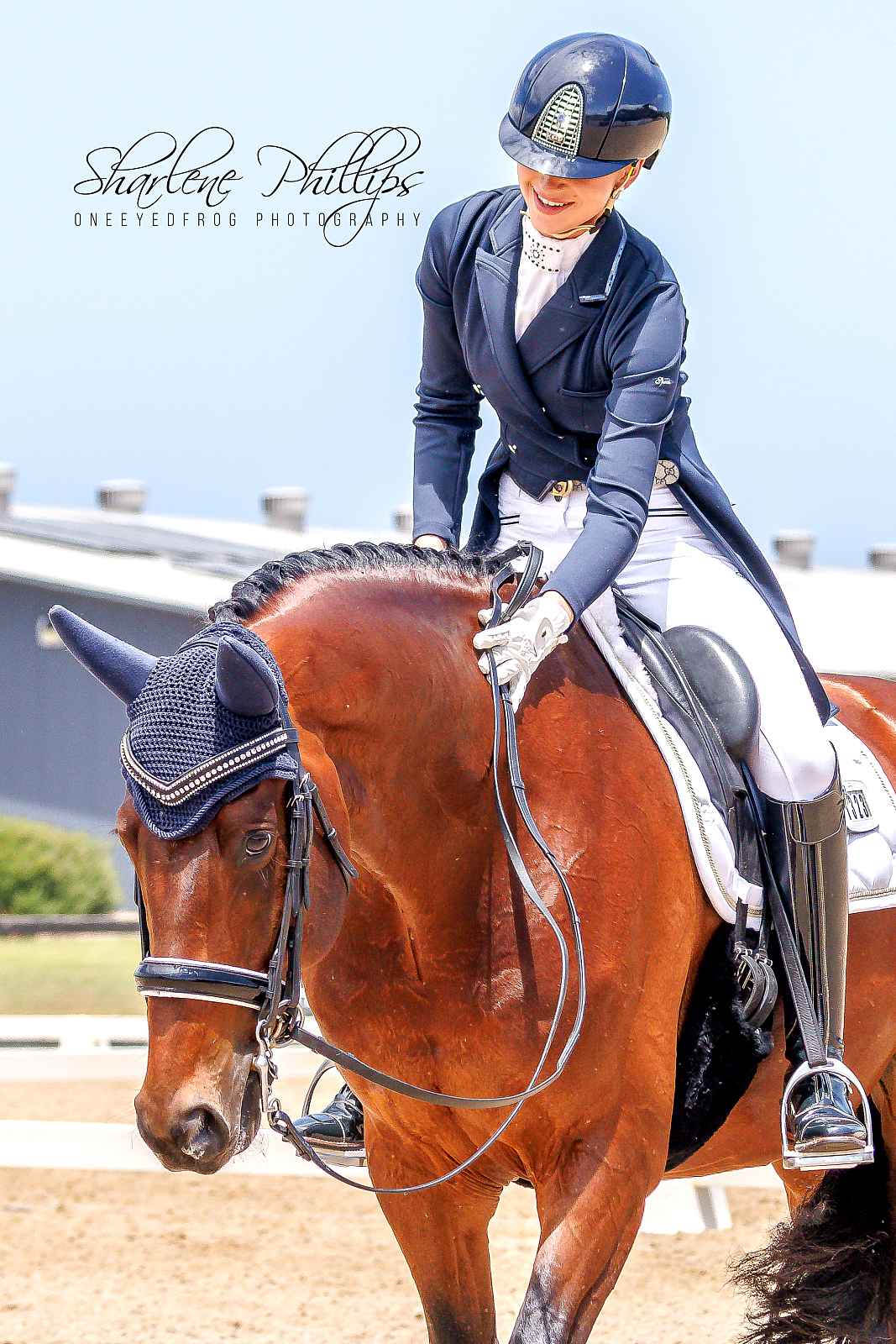 2026 Summer Dressage Championships - Equestrian Event Photography ...