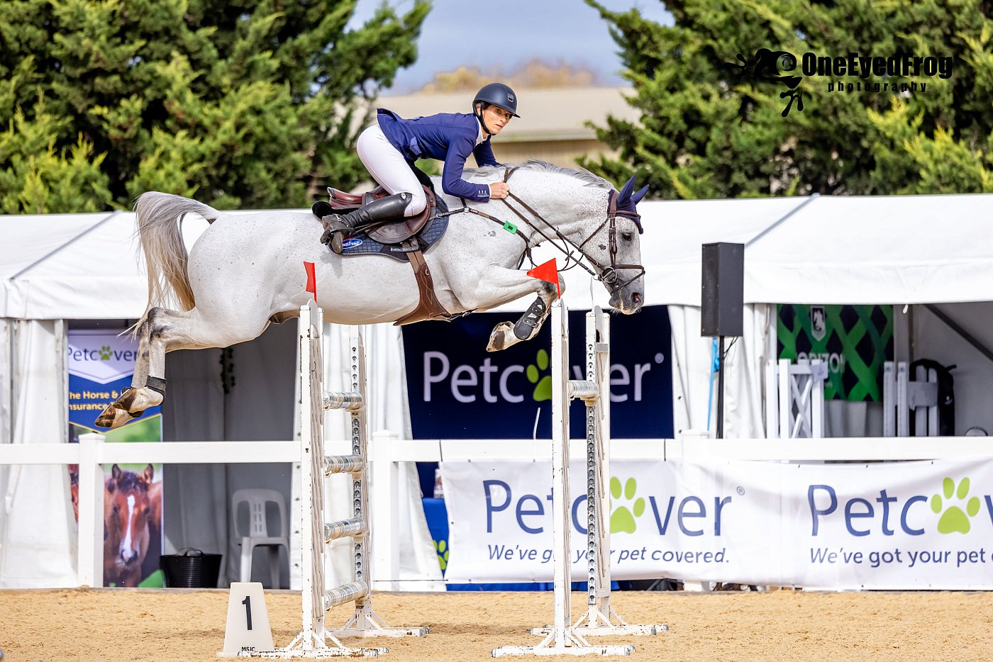 Professional Equestrian Event Coverage - Equestrian Event Photography ...