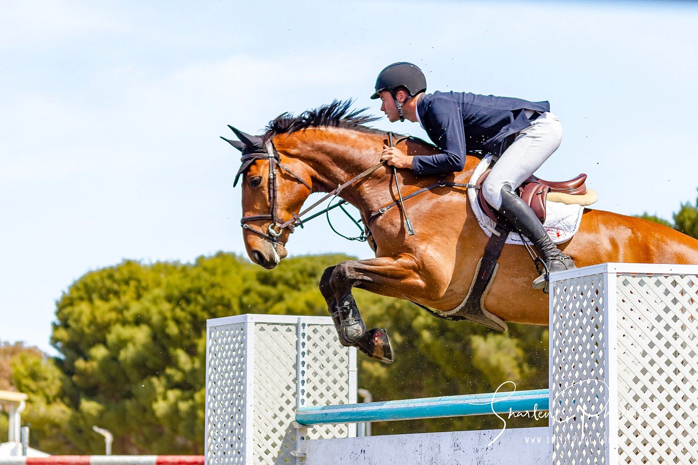 Professional Equestrian Event Coverage - Equestrian Event Photography ...